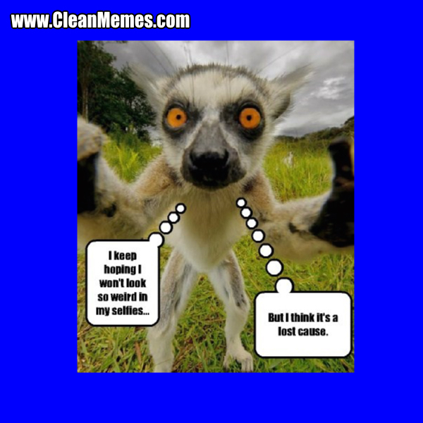 Lost Cause – Clean Memes