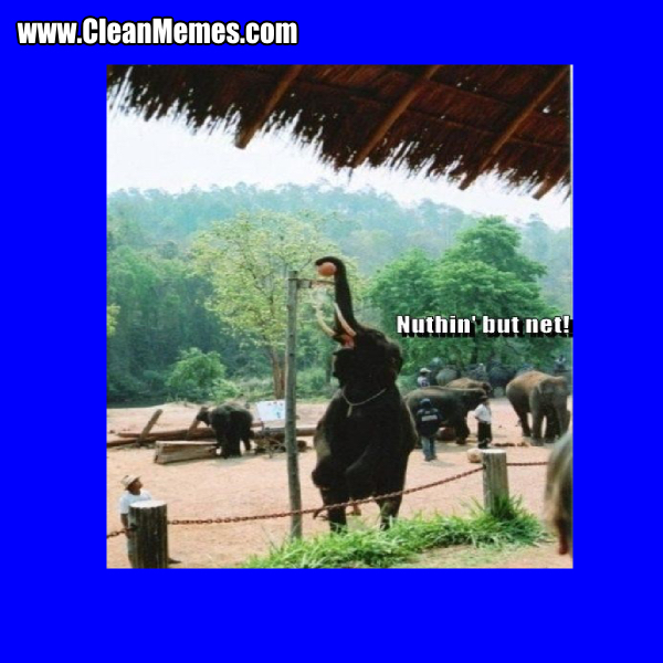 But Net – Clean Memes