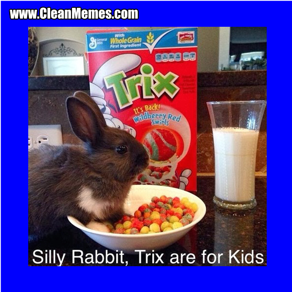 Silly Rabbit – Clean Memes