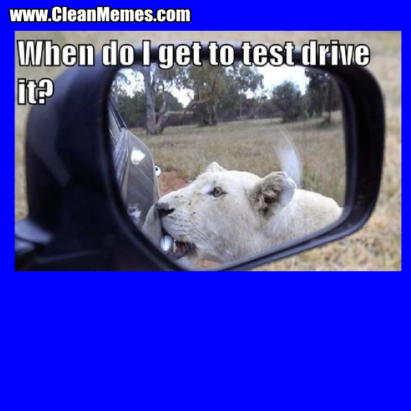 Test Drive Memes Force Feedback Opel Astra During Test Track Driving.