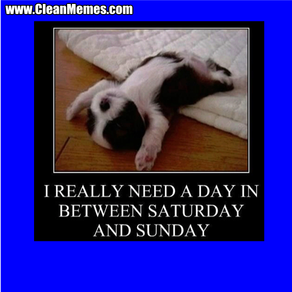 Memes Sundaa 150 Best Sunday Puns And Jokes Start Your Week With
