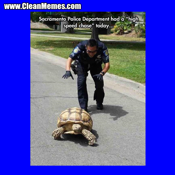 High Speed Chase Memes Expert On High Speed Chases For Low Level