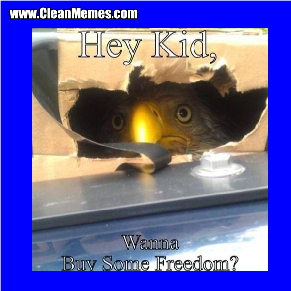 Funny Freedom Memes
