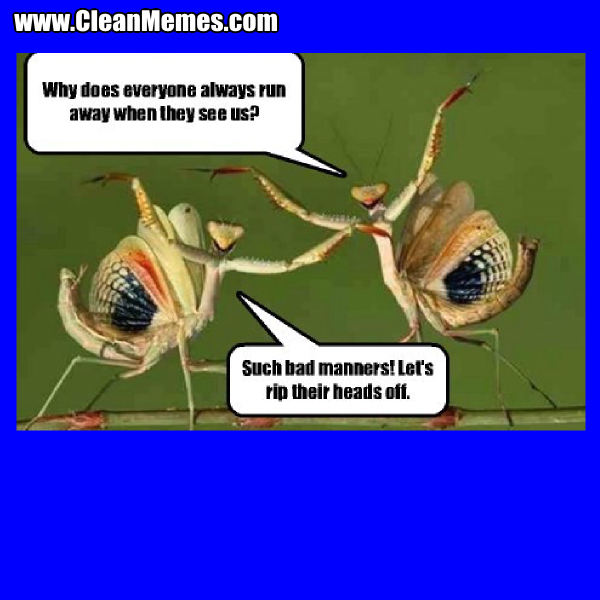 Funny Insect Memes Literally Full Of Bugs · ProgrammerHumor.io