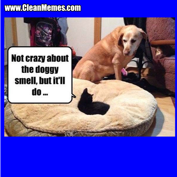 Doggy Smell – Clean Memes