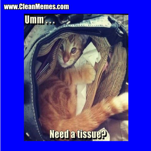 Need A Tissue – Clean Memes