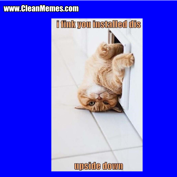 Installed Dis – Clean Memes