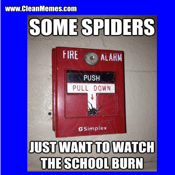 Spider Burning Memes Arachnophobia Memes & GIFs Imgflip
