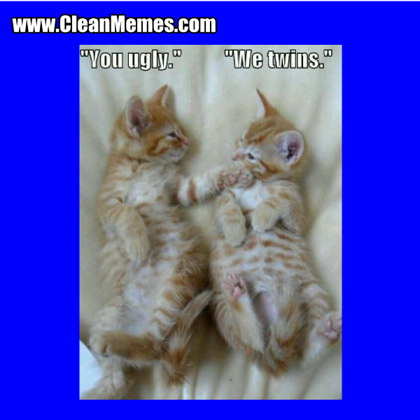 Twinsies Memes Hurtingsouls | Follow (us) @HURTINGSOULS For Wholesome