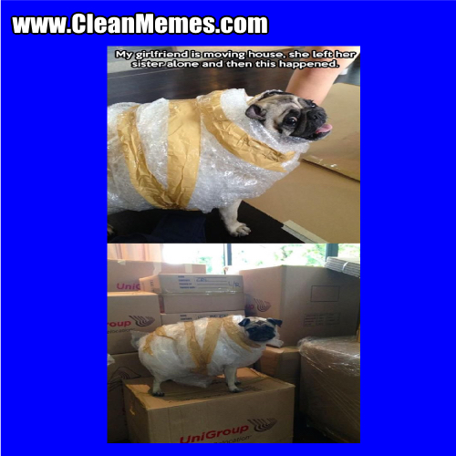 Moving House – Clean Memes