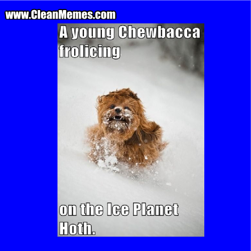 Ice Planet Hoth Memes Star Wars Meme Extravaganza 🎵Might As Well