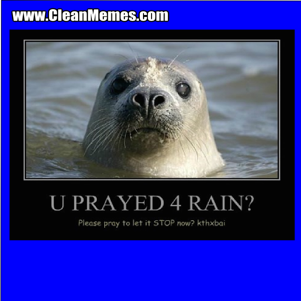 Stop Now – Clean Memes