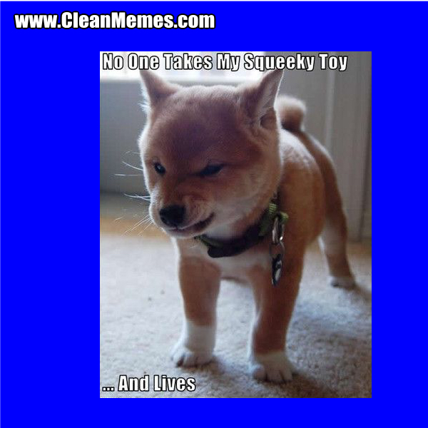 My Squeaky Toy – Clean Memes