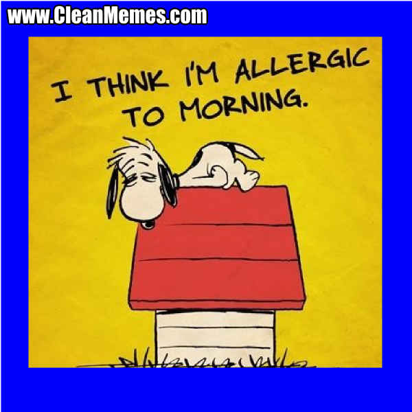 I Think – Clean Memes