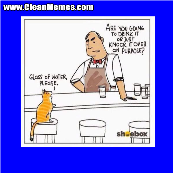 Knock it Over – Clean Memes