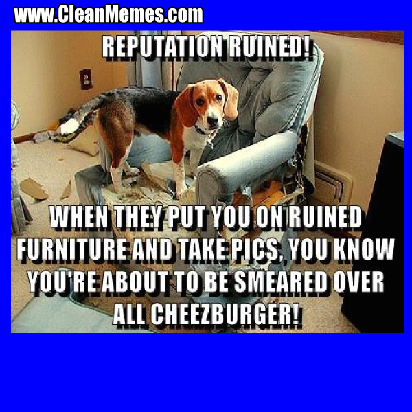 Reputation Ruined – Clean Memes