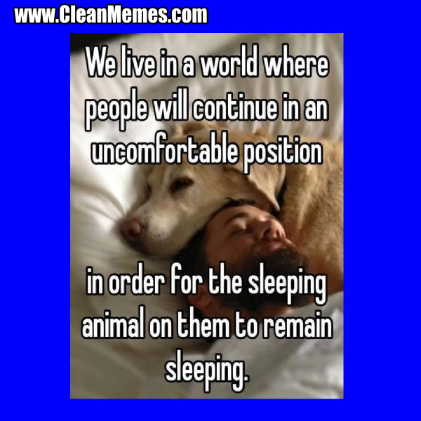 Uncomfortable Position Memes YARN | Whenever I'm In An Uncomfortable