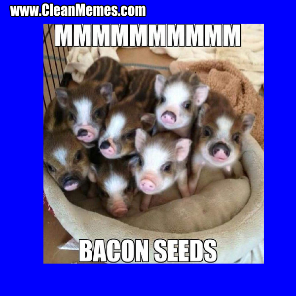 Bacon Seeds Memes