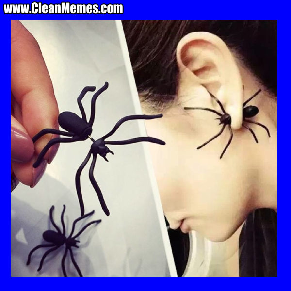 Awkward Spider Memes