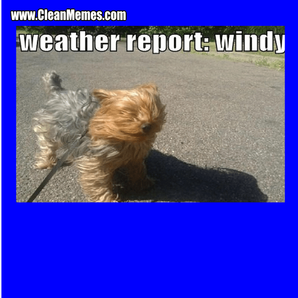 Windy Weather Memes Last 60 Degree Day This Week Comes With Quite The