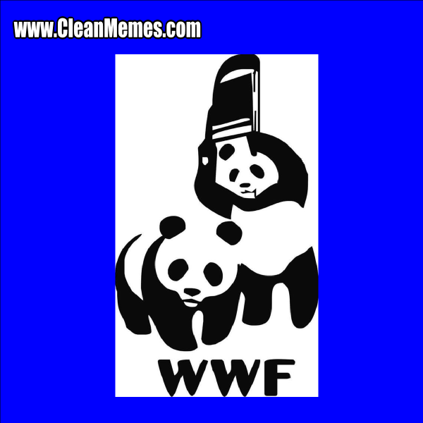 Wwf Panda Memes