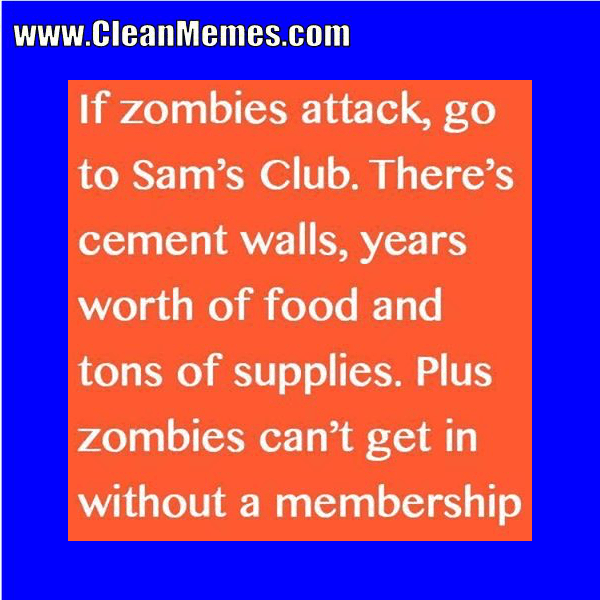 Clean Memes – Page 260 – The best and most clean memes online.