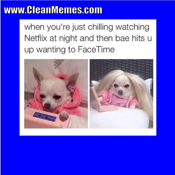 Bae Netflix Memes Young, Bold & Unstoppable. 🚀 The Ba***ds Of