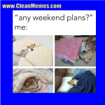 Clean Memes – Page 300 – The best and most clean memes online.