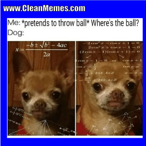 Clean Memes – Page 300 – The best and most clean memes online.