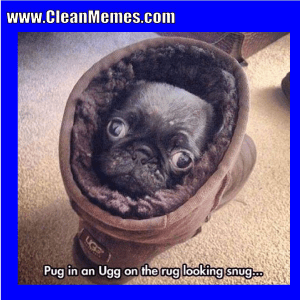 Clean Memes – Page 300 – The best and most clean memes online.