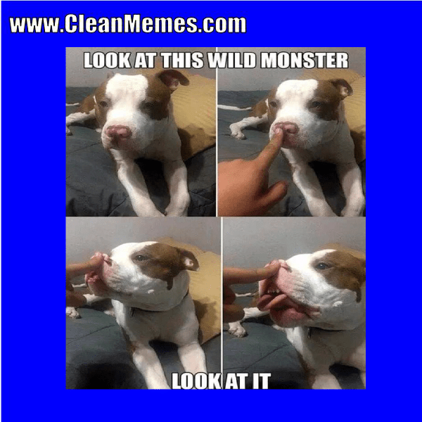 Wild Monster – Clean Memes