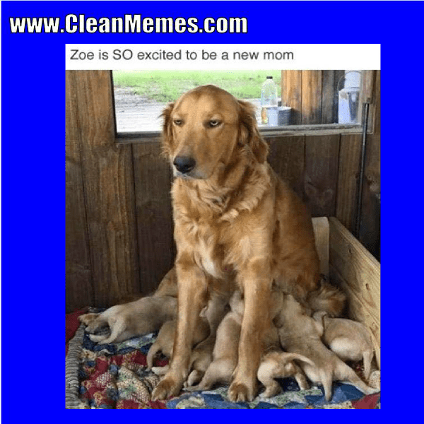 Excited Mom Memes
