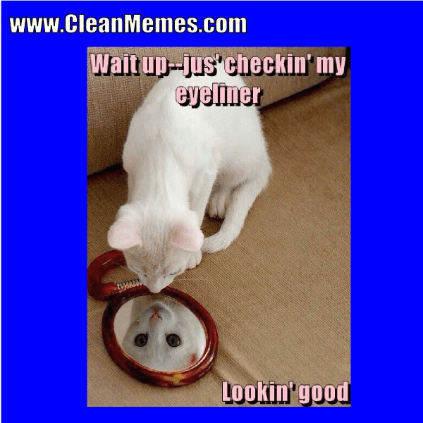 Clean Memes – Page 302 – The best and most clean memes online.