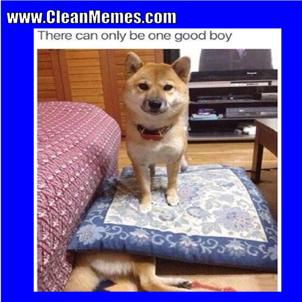 Fine Boy Memes The Boys: 10 Hilarious Memes That Will Have You Crying