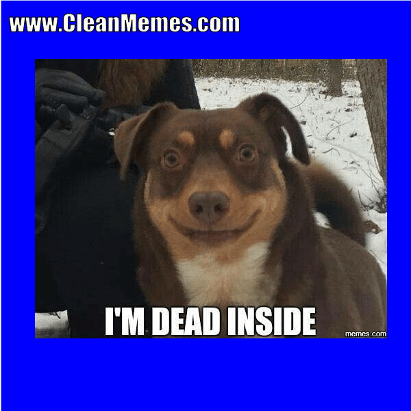 Dead Pug Memes Doggie Dump Of Dopamine To Ride Until The Last Woof Of