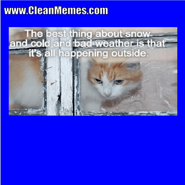 Clean Memes – Page 302 – The best and most clean memes online.