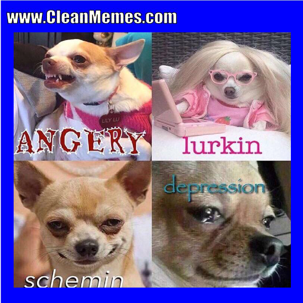 Angery – Clean Memes