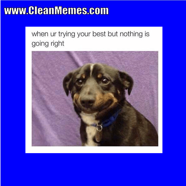 Trying Your Best – Clean Memes