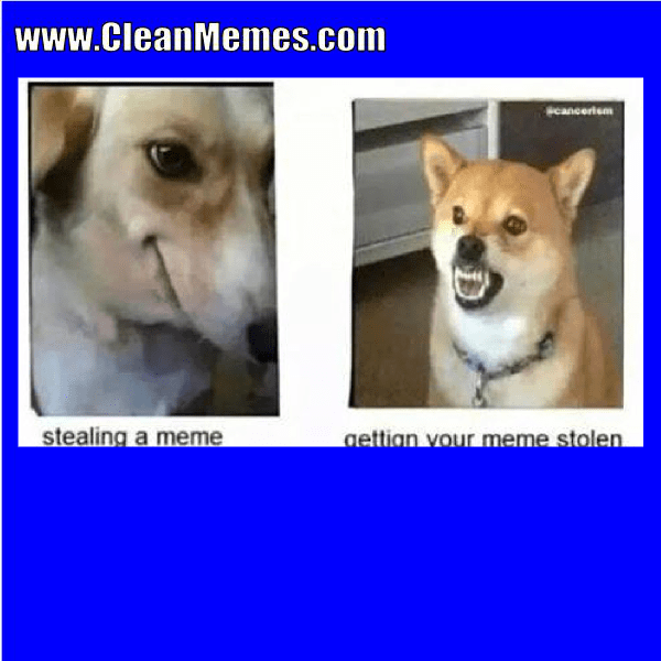 Friend Stealing Memes