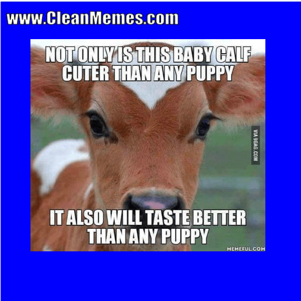 Newborn Calf Memes Funny Baby Calf Twists Body Lifting
