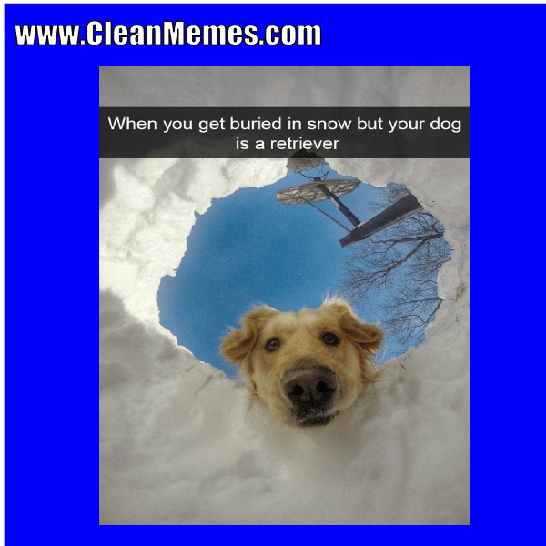 Clean Snow Memes Clear ALL The Snow!
