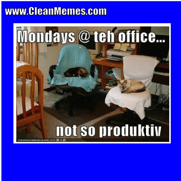 Clean Memes – Page 301 – The best and most clean memes online.
