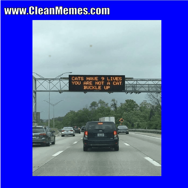 Clean Memes – Page 277 – The best and most clean memes online.