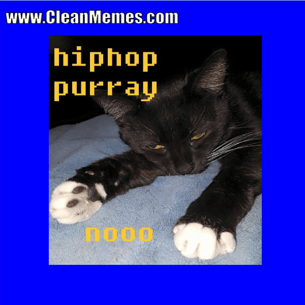 Clean Memes – Page 300 – The best and most clean memes online.