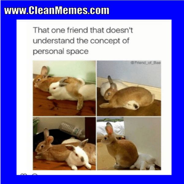 Clean Memes – Page 304 – The best and most clean memes online.