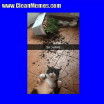 Clean Memes – Page 260 – The best and most clean memes online.