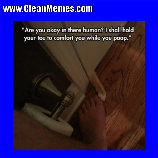 September 2017 – Clean Memes