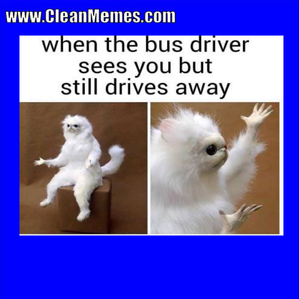 14BusDriver – Clean Memes
