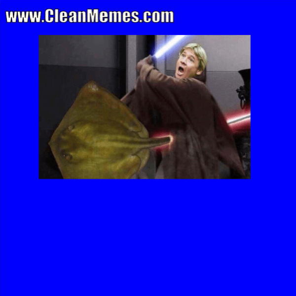 Star Wars Memes – Page 3 – Clean Memes