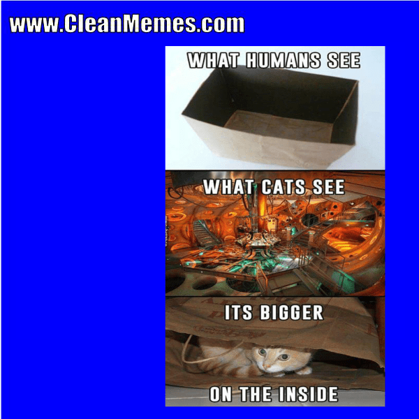 Star Wars Memes – Page 2 – Clean Memes